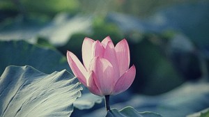 Trust Yourself – Charlie Archbold